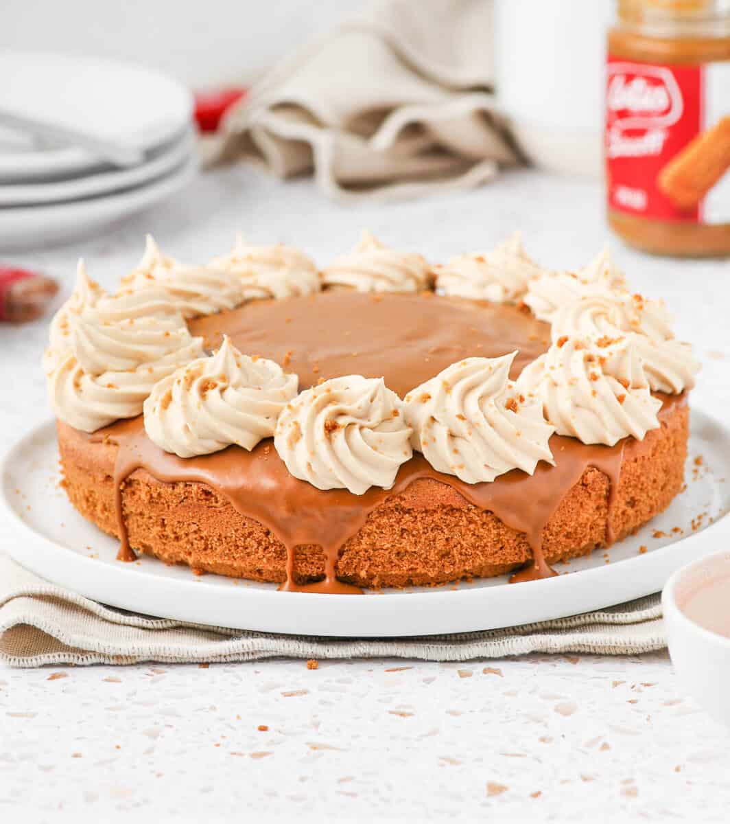 12+ Delicious Recipes with Biscoff Spread - A Baking Journey