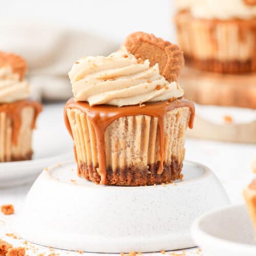 12+ Delicious Recipes with Biscoff Spread - A Baking Journey